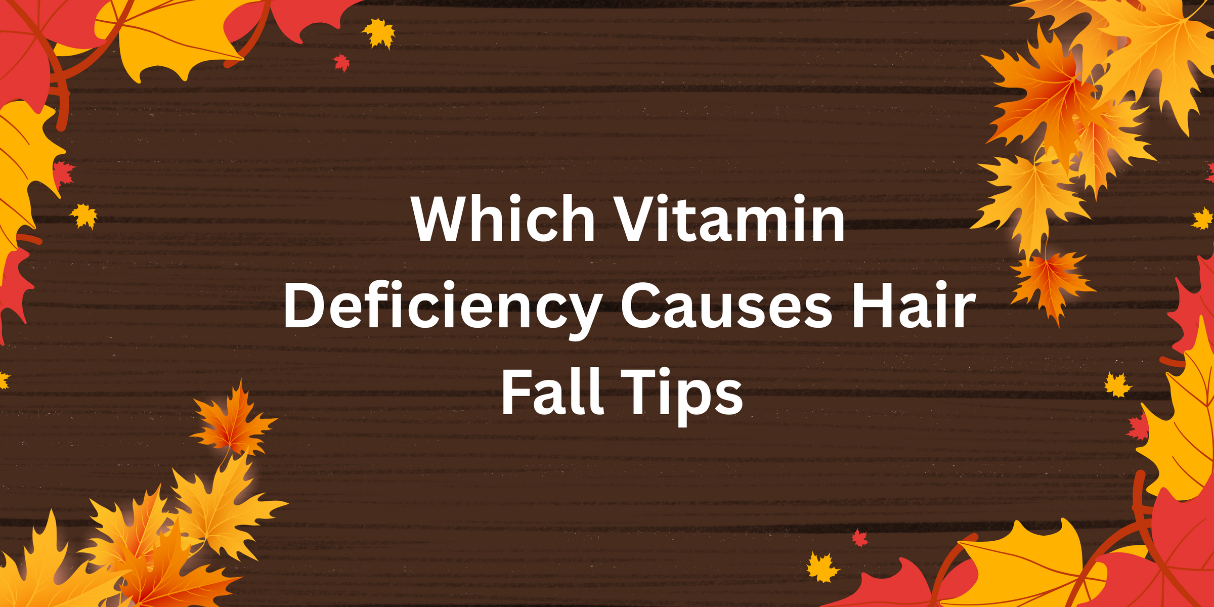 Which Vitamin Deficiency Causes Hair Fall Tips – Nizwa International